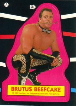 Brutus Beefcake's Wrestling Career Highlights | Brutus Beefcake